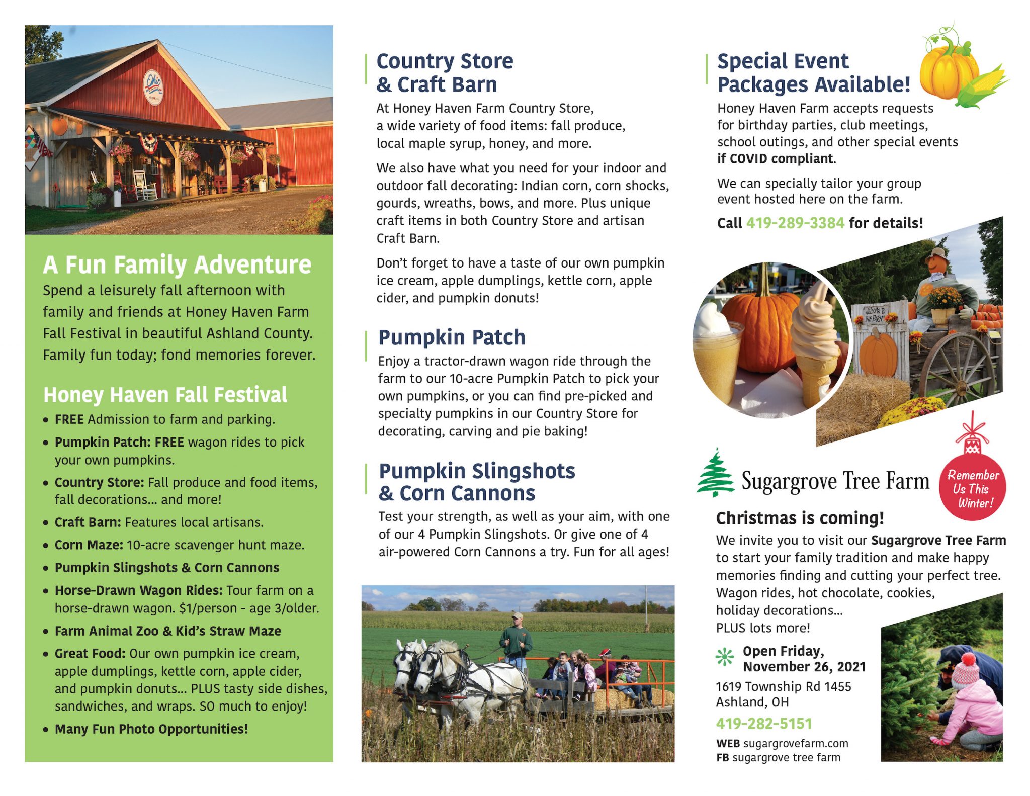 Fall Festival | Honey Haven Farm