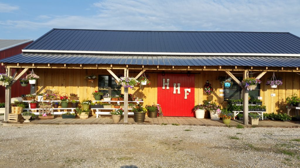 Honey Haven Farm | Greenhouse, Corn Maze, Pumpkin Patch, and Fall Festival