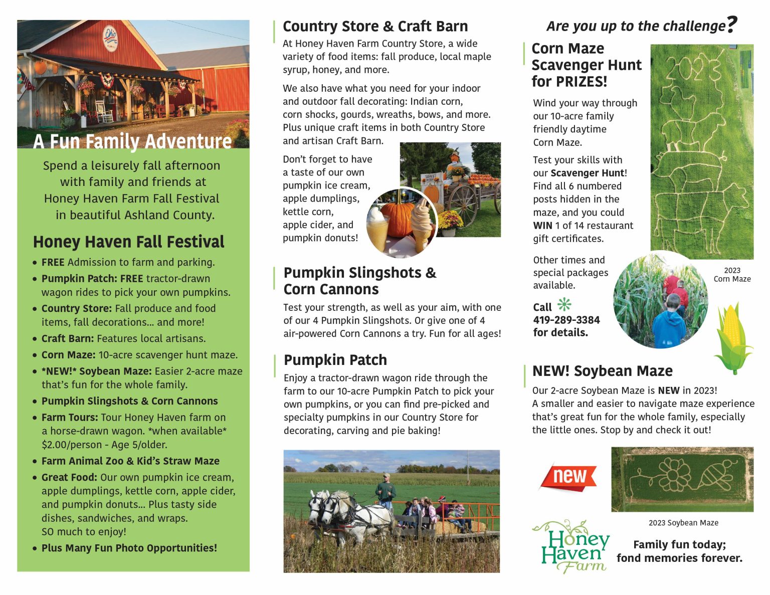 Fall Festival | Honey Haven Farm