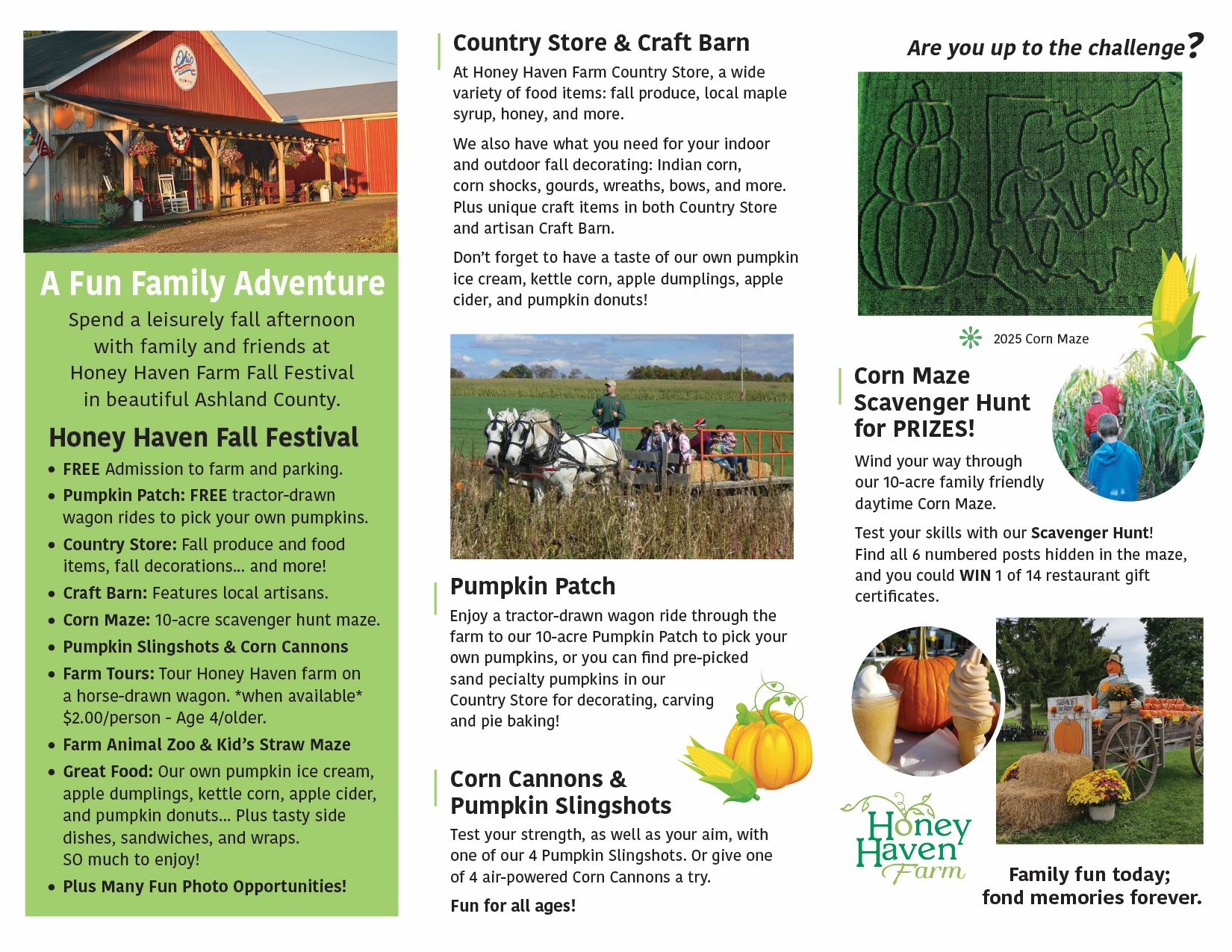 Fall Festival | Honey Haven Farm